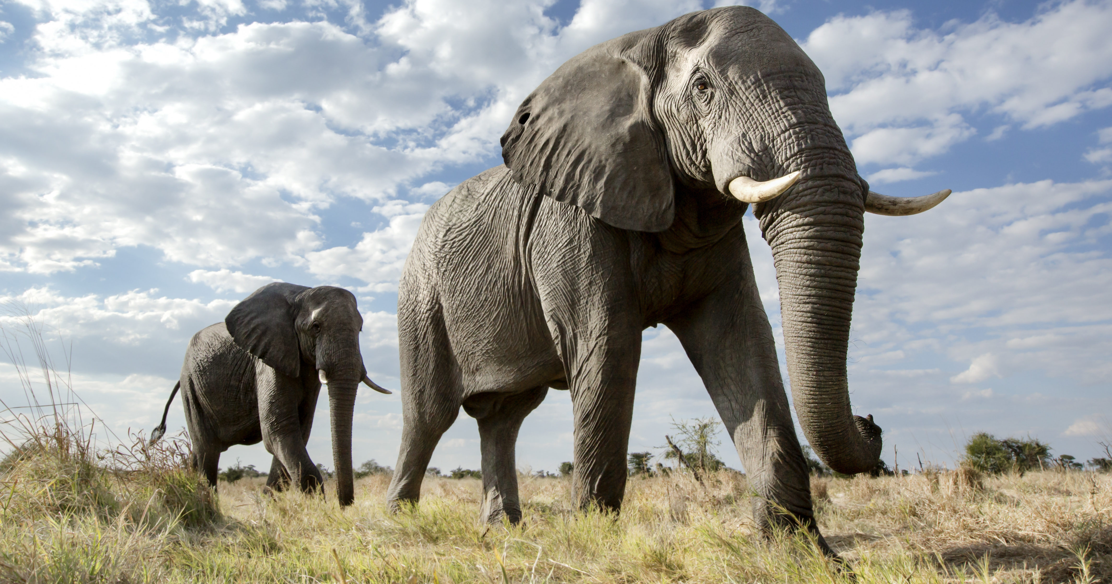 VSCode + Intelephense でコード補完を高速に。WordPressやPHPの開発を効率化！ – 株式会社トンボロ